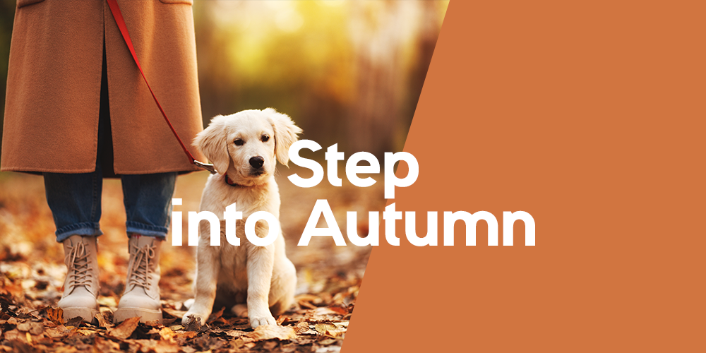 Home - Ashton Retail Park